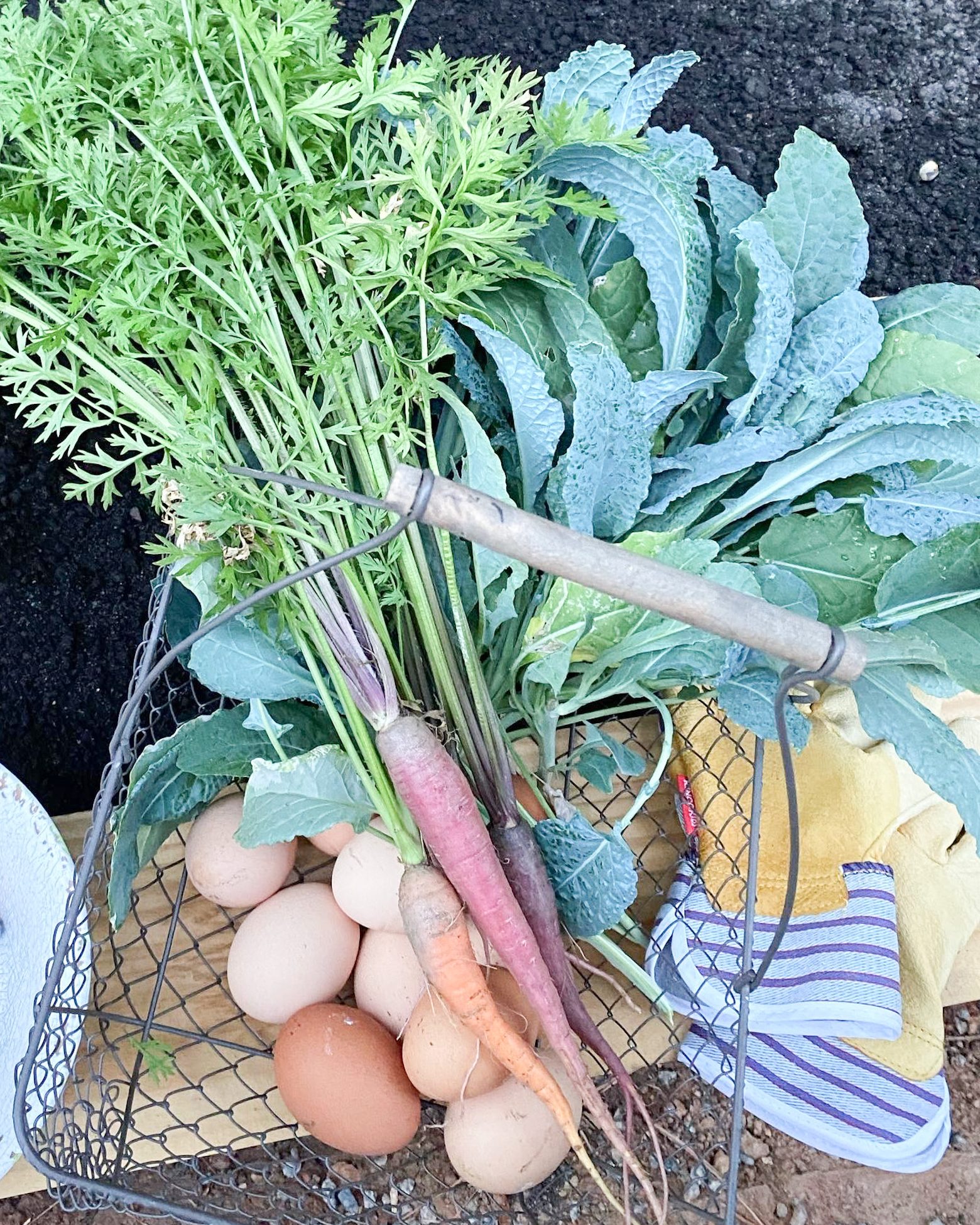 Start a homestead - Seasonal Grains